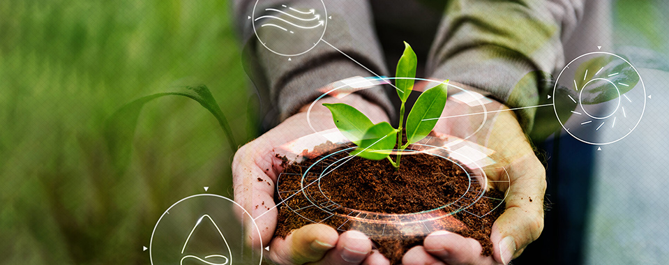 CÔNG TY TNHH CHỨNG NHẬN UDA - UDA CERTIFICATION COMPANY LIMITED